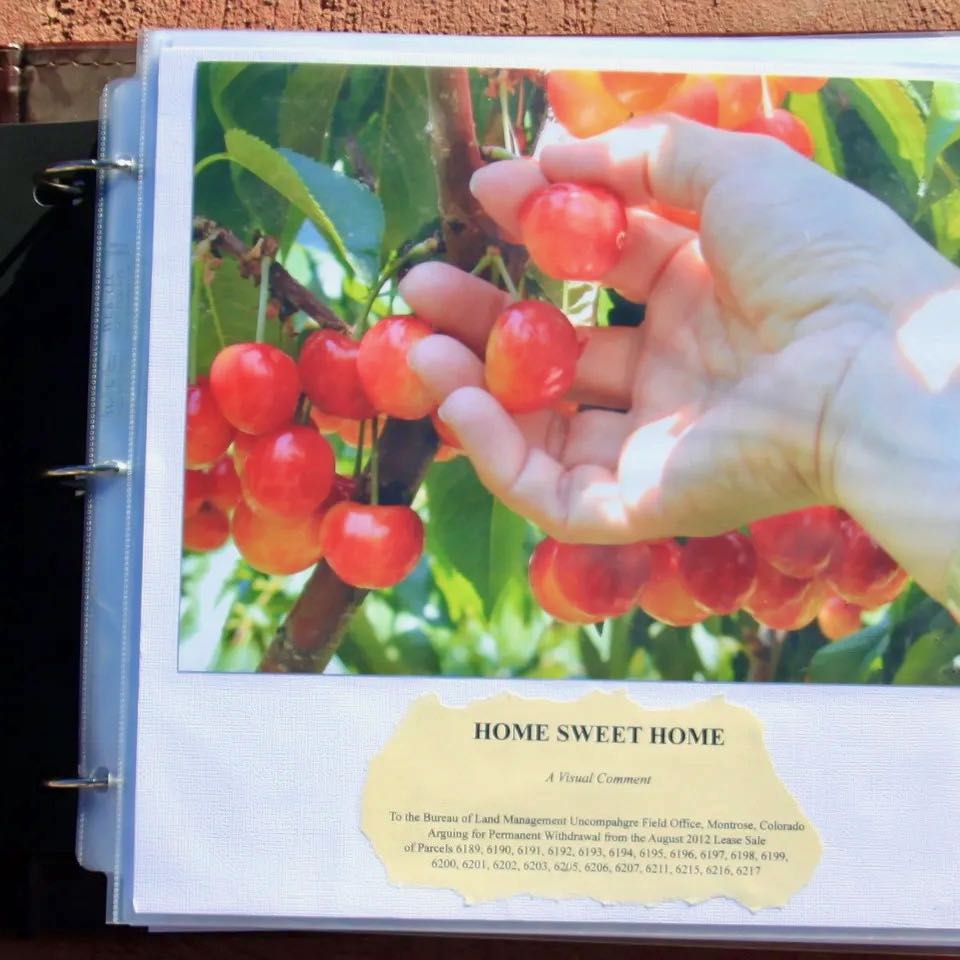 Environmental Protection | Morning Rounds